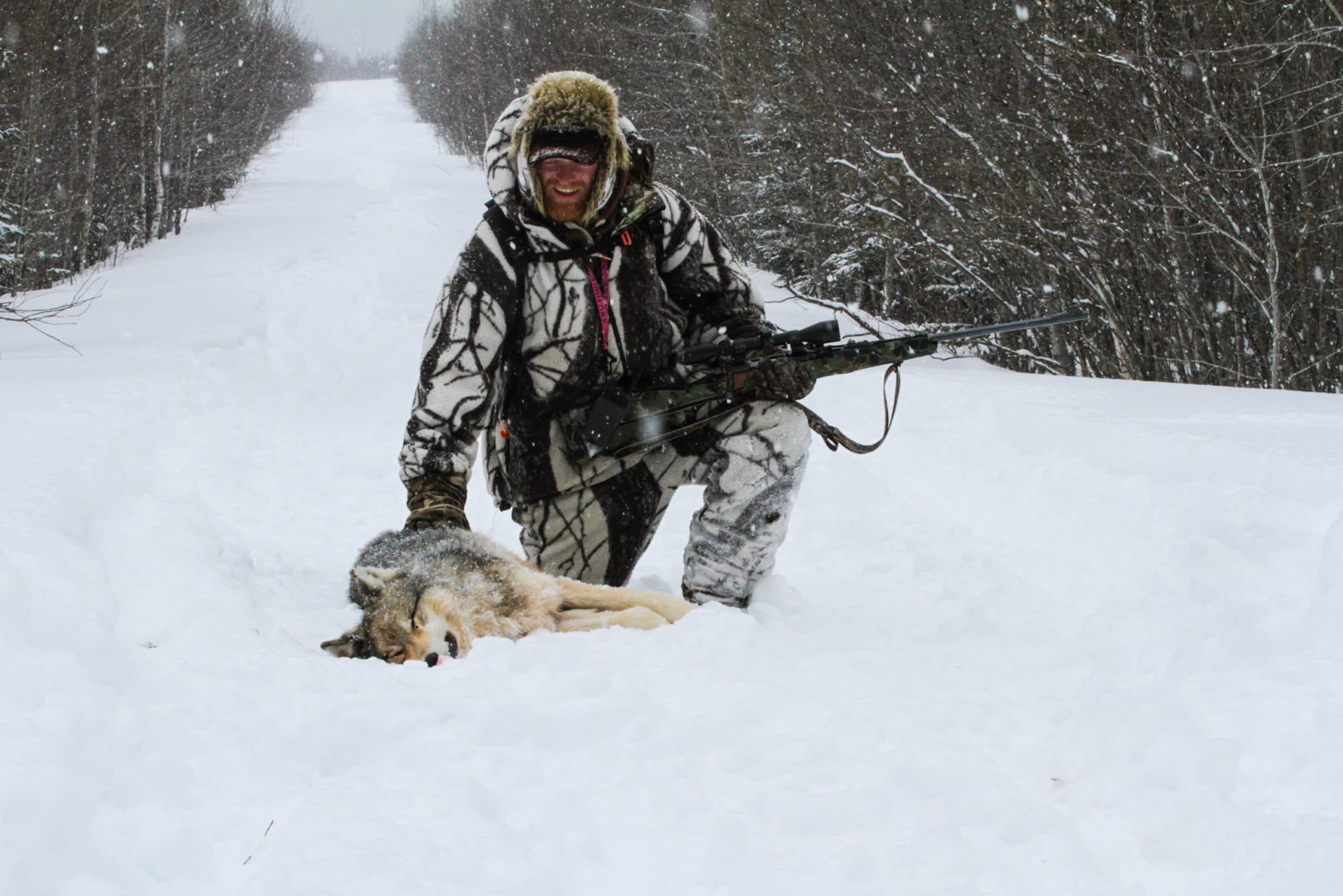 Ontario, Canada Wolf Hunt with Kap River Outfitters » Got Hunts