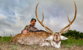 Texas Axis Deer Hunt with Double Diamond Outfitters » Got Hunts
