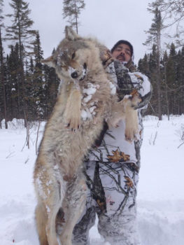 Ontario, Canada Wolf Hunt with Kap River Outfitters » Got Hunts