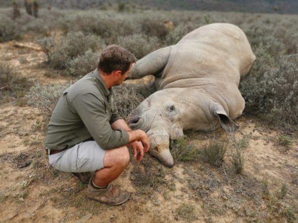 The Rhino Hunt » Got Hunts » Rhino Hunting Reort