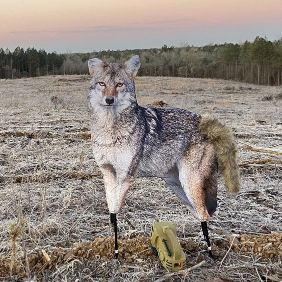 DECOYS and Decoy Accessories GOT HUNTS & GEAR