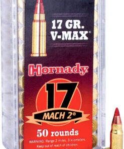 Gun Reviews For Choosing a Good Kids 22 Rifle