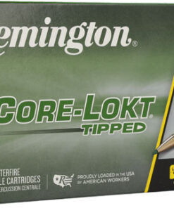 Gun Reviews For Choosing a Good Kids 22 Rifle